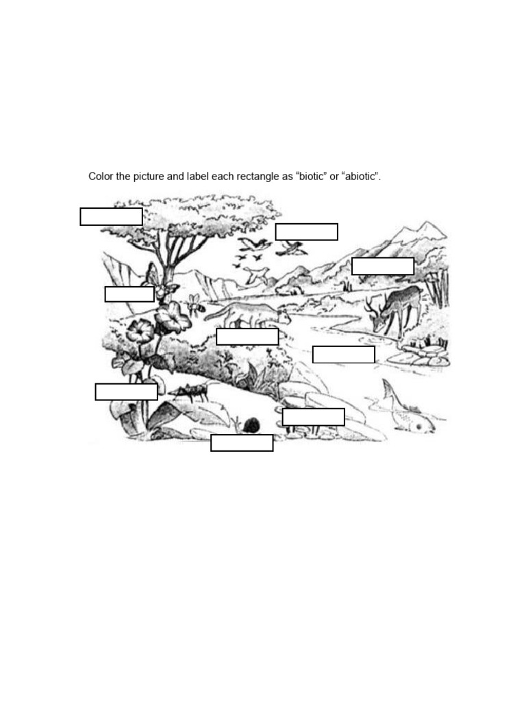 Third Grade Ecosystem Diagnostic Test Pdf