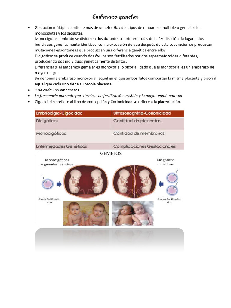 Embarazo Gemelar: Tipos y Complicaciones | PDF | El embarazo | Feto
