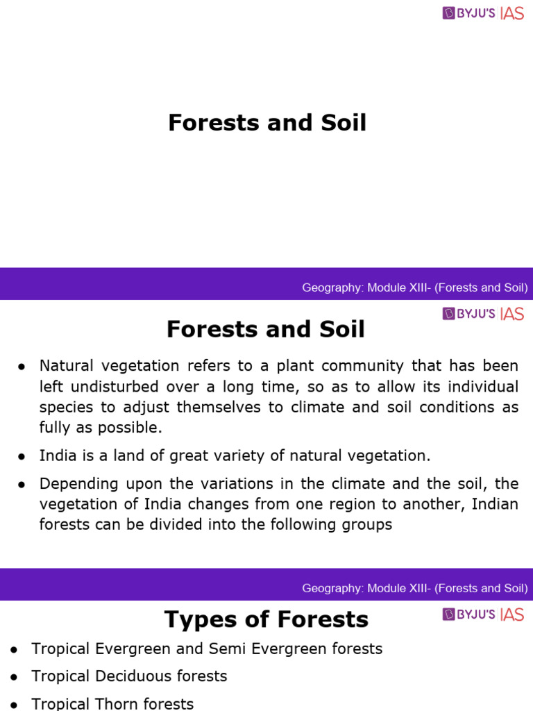 Geography: Module XIII - (Forests and Soil) | PDF | Forests | Tropics