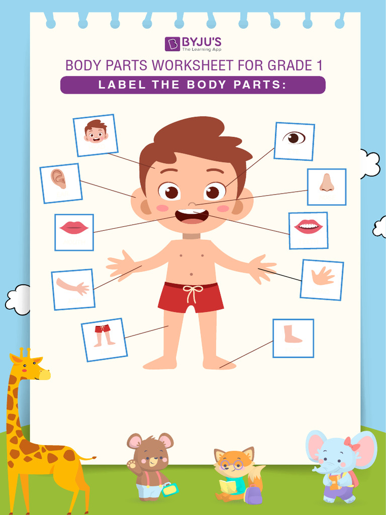 Body Parts Worksheet 3 | PDF