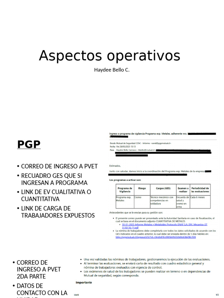 Aspectos Operativos del Informe de Empresa | PDF