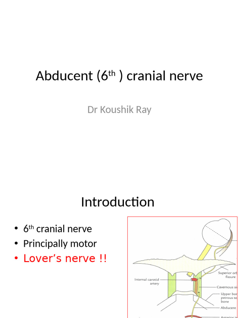 Abducent Nerve | PDF