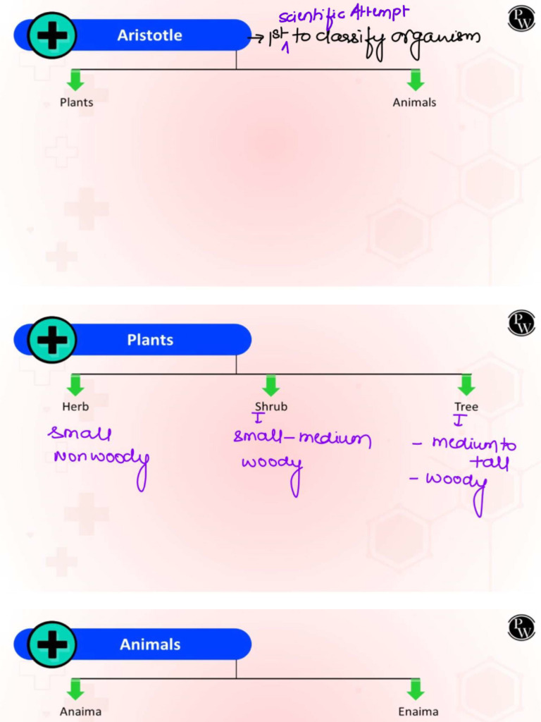 The Living World +taxonomy | PDF