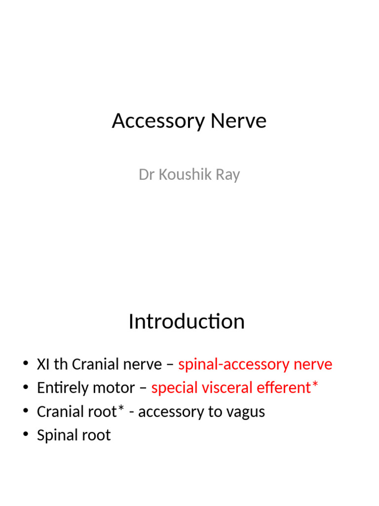 Accessory Nerve | PDF