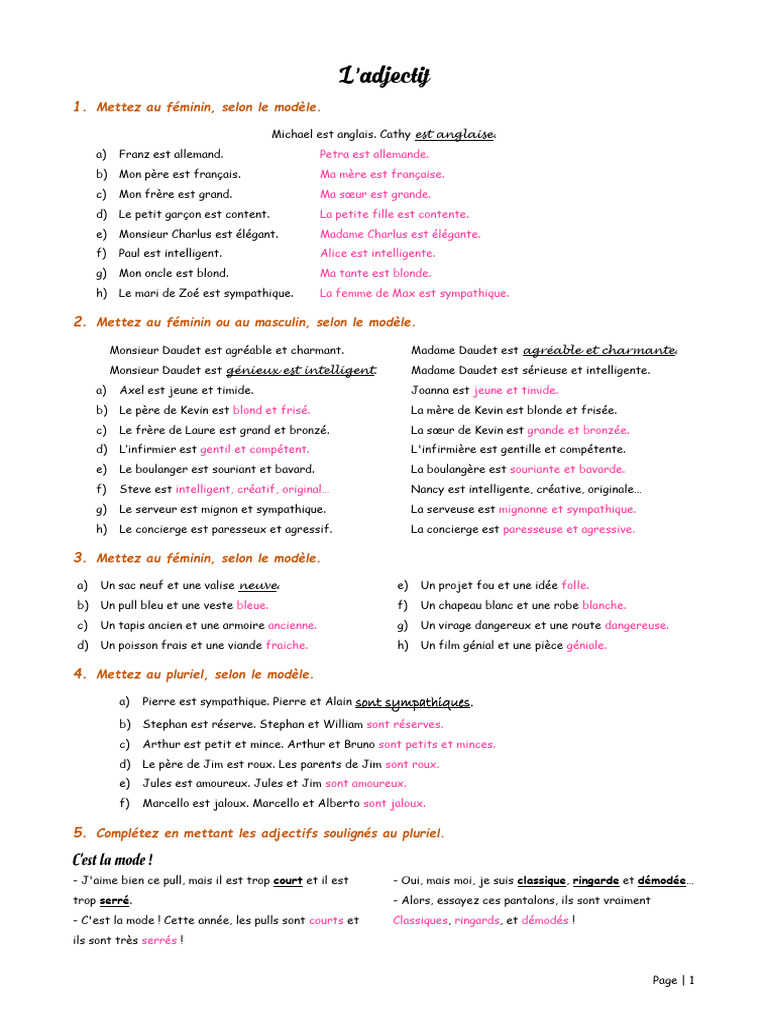 Exercices d'accords en genre et nombre | PDF