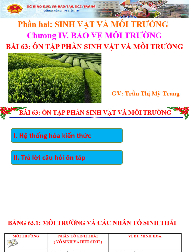 Bai 63 On tap phan Sinh vat va moi truong (HS) | PDF