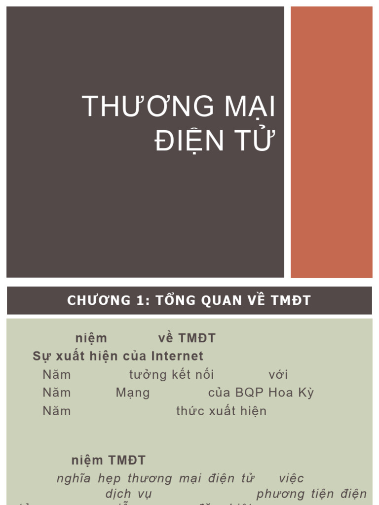 Chuong 1 Tong Quan Ve TMDT | PDF