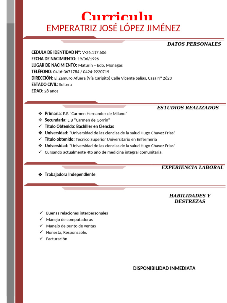 Curriculo (Formato Correcto) | PDF