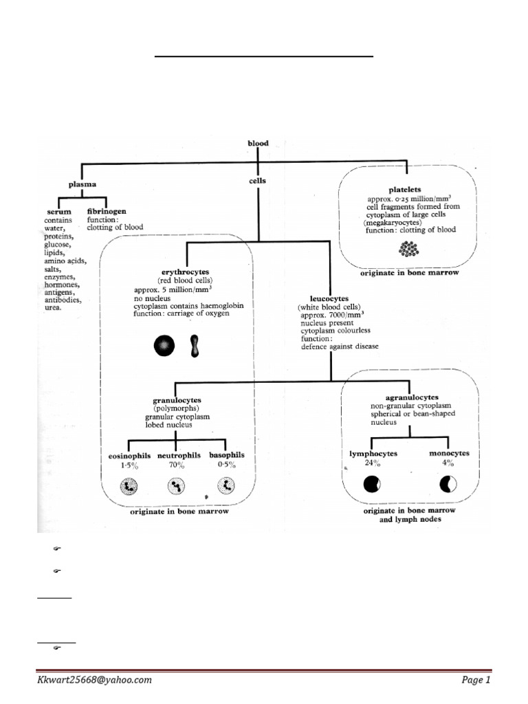 Mammalian Blood Transport Systems | PDF | Circulatory System | Heart