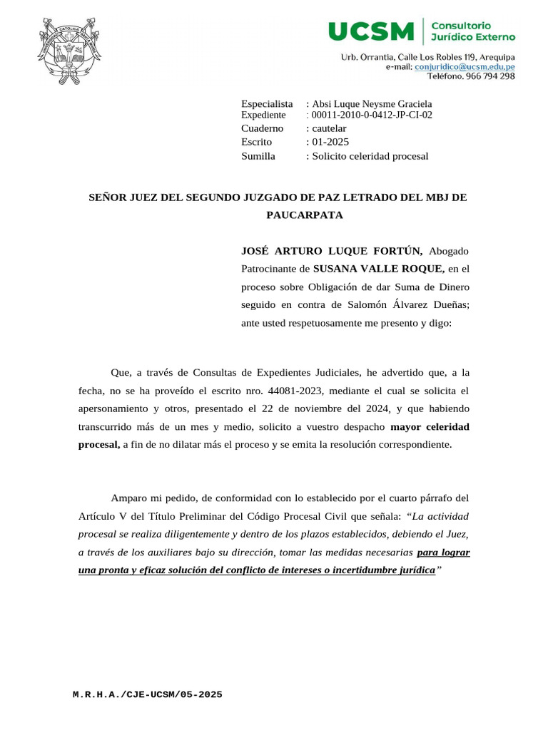 Solciito Celeridad 00011-2010 | PDF | Separación de poderes | Gobierno