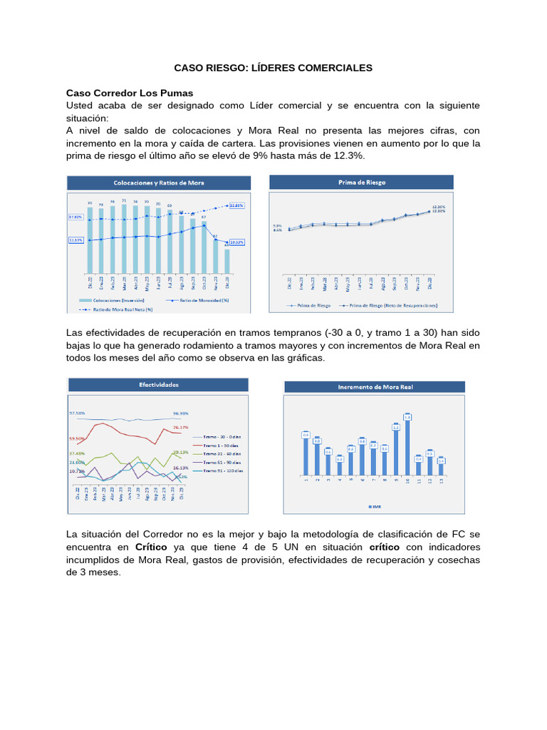 7. Caso Riesgos - Paredes Medina Flor Ermit | PDF | Economias