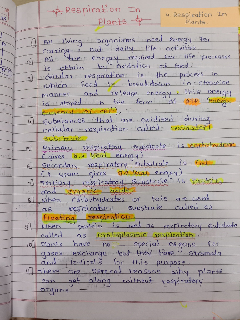 4.respiration in Plants | PDF