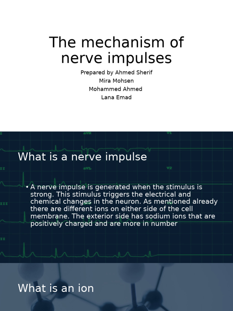 Understanding Nerve Impulses and Neurons | PDF