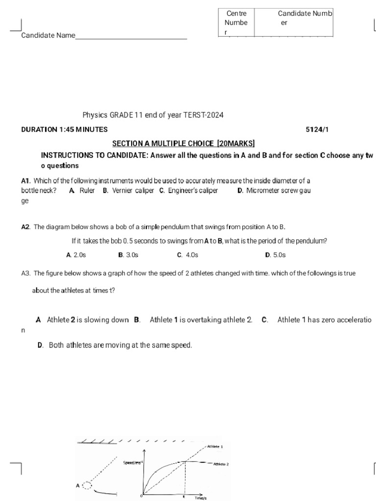 Grade 11 Physics End of Year Test - 2024 - Phoenix | PDF