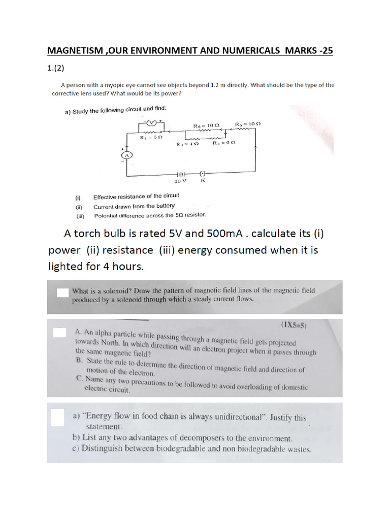 Magnetism and Environment Numerical Marks | PDF