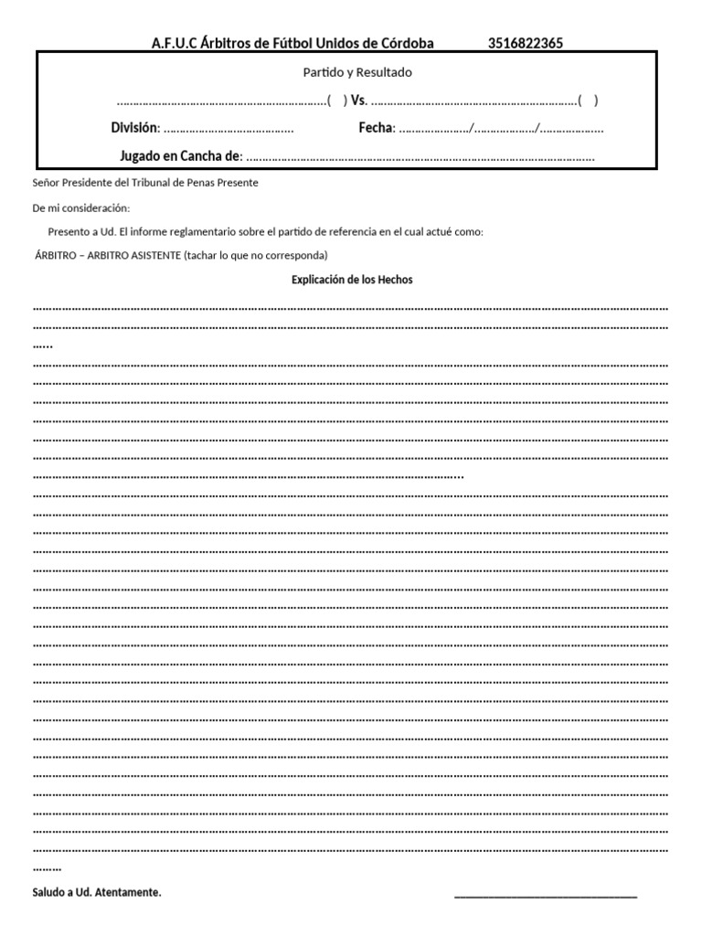 Planilla De Informe Pdf