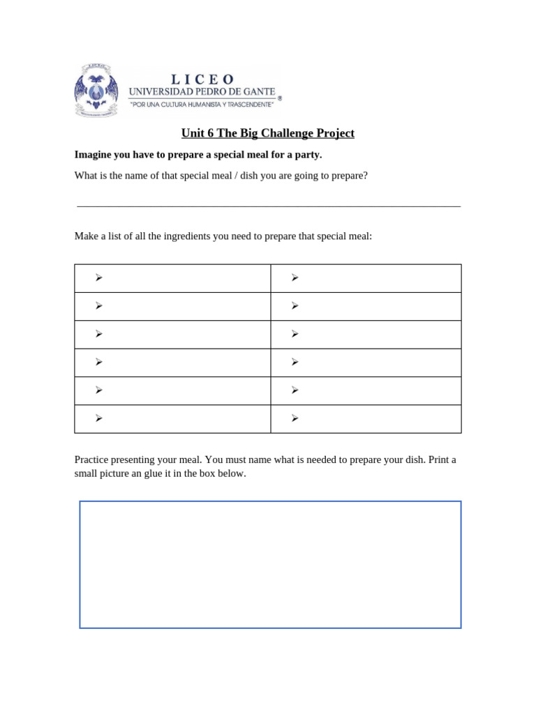 Unit 6 The Big Challenge Project | PDF