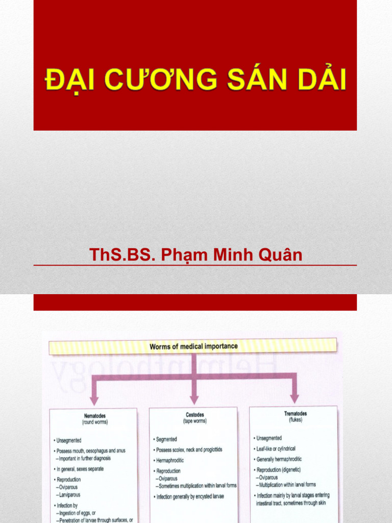2025 - DC San Dai-San Dai Heo-San Dai Bo | PDF