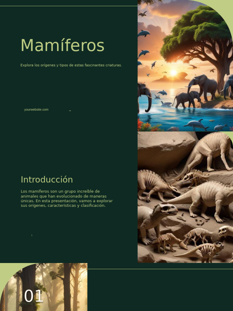Mamíferos | PDF | Mamíferos | Marsupiales