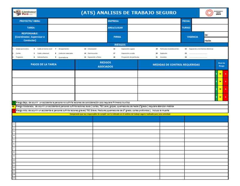470052263-FORMATO-ATS- 2025 (2) | PDF