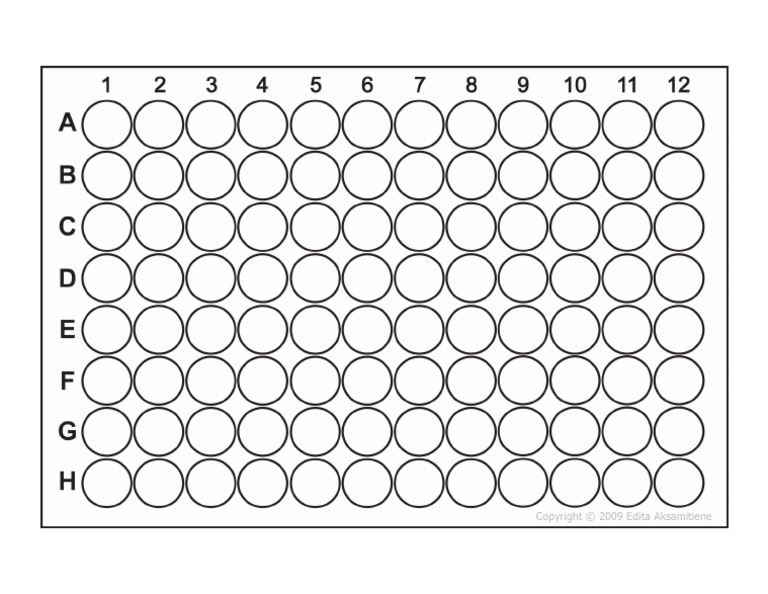 96 Well Template | PDF
