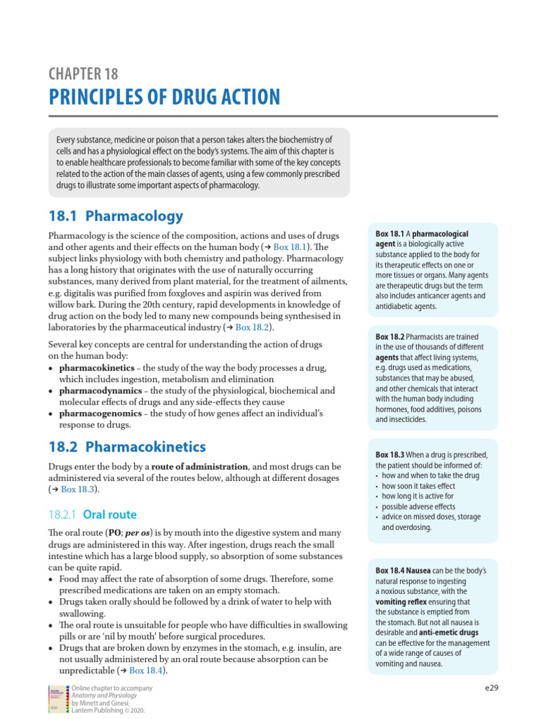 Chapter 18 Principles of Drug Action | PDF | Drug Metabolism | Receptor (Biochemistry)