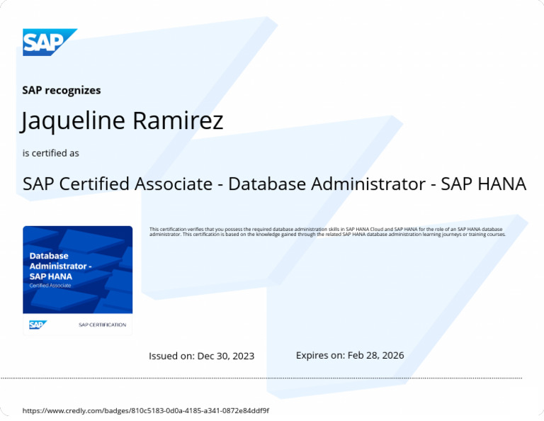 Database Administrator - SAP HANA | PDF