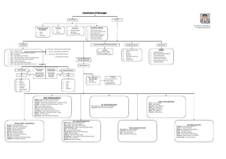 Beverage Classification Overview | PDF | Drink | Rum