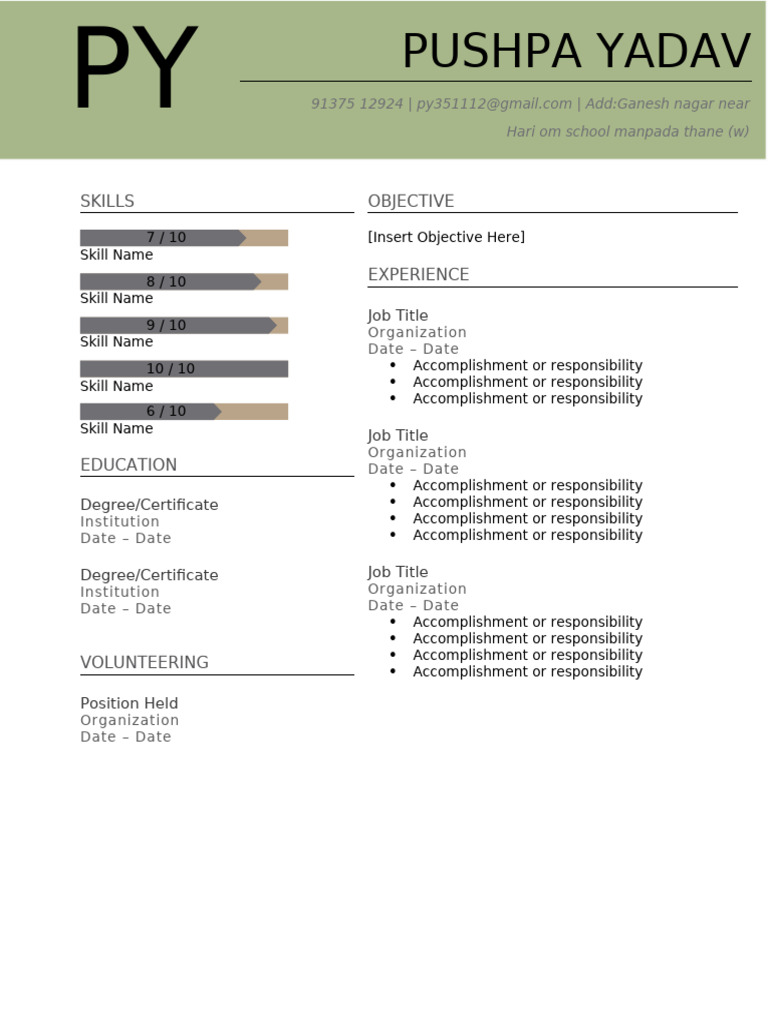 Bold Serif Resume Template | PDF