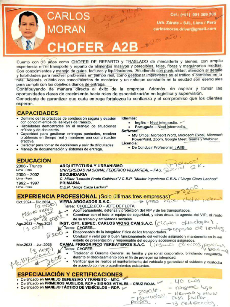 CARLOS MORAN CV | PDF | Información