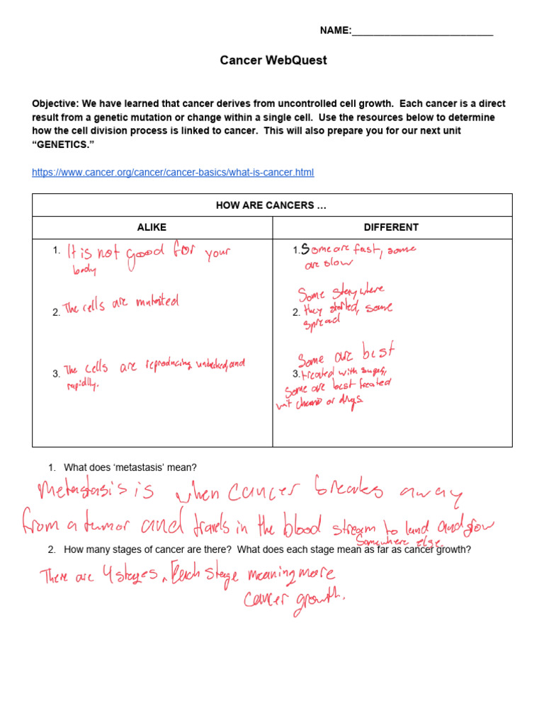Cancer WebQuest: Understanding Cancer | PDF | Cancer | Stem Cell