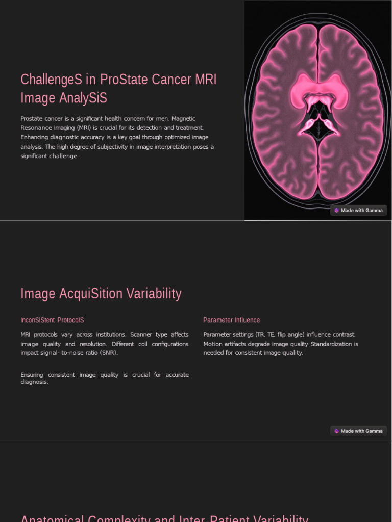 Prostate Cancer MRI Analysis Challenges | PDF | Magnetic Resonance ...