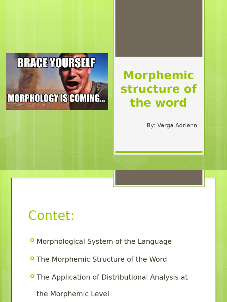 Understanding Morphemic Structure in Language | PDF | Word | Morphology ...