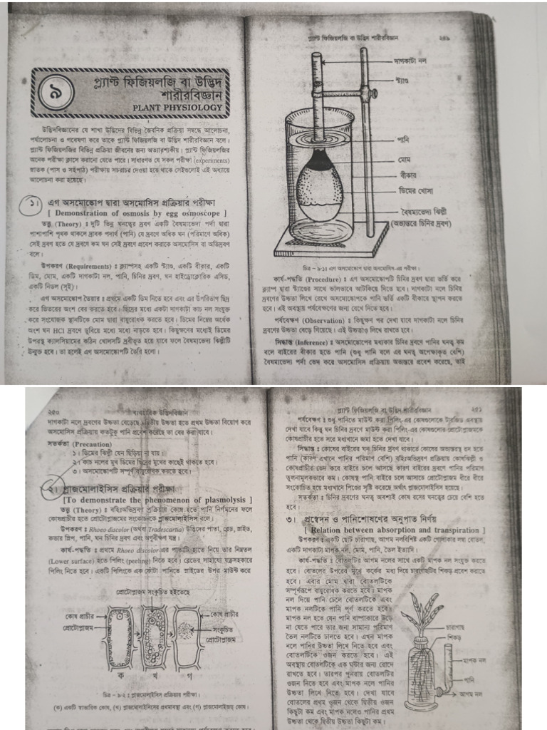 2nd Year Botany Practical | PDF