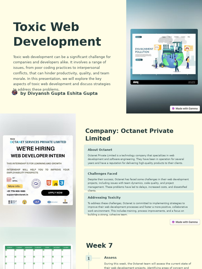 Tackling Toxic Web Development Issues | PDF | Web Development | Project ...