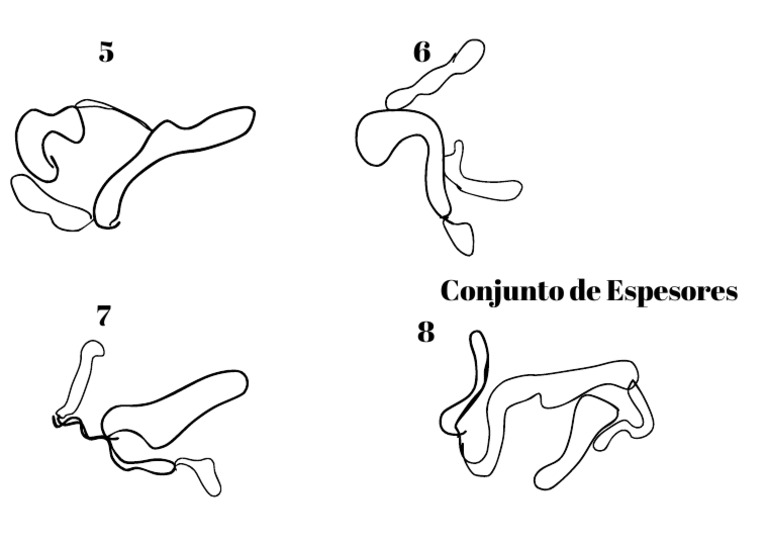 Lamina 3 Segunda Parte - 20240528 - 220606 - 0000 | PDF