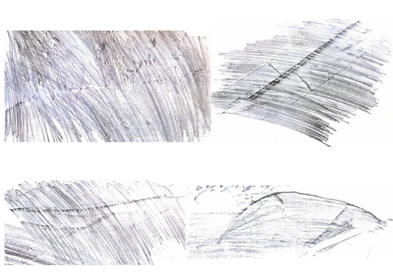 1.01 Baroni Lucia Lourdes - JPG | PDF