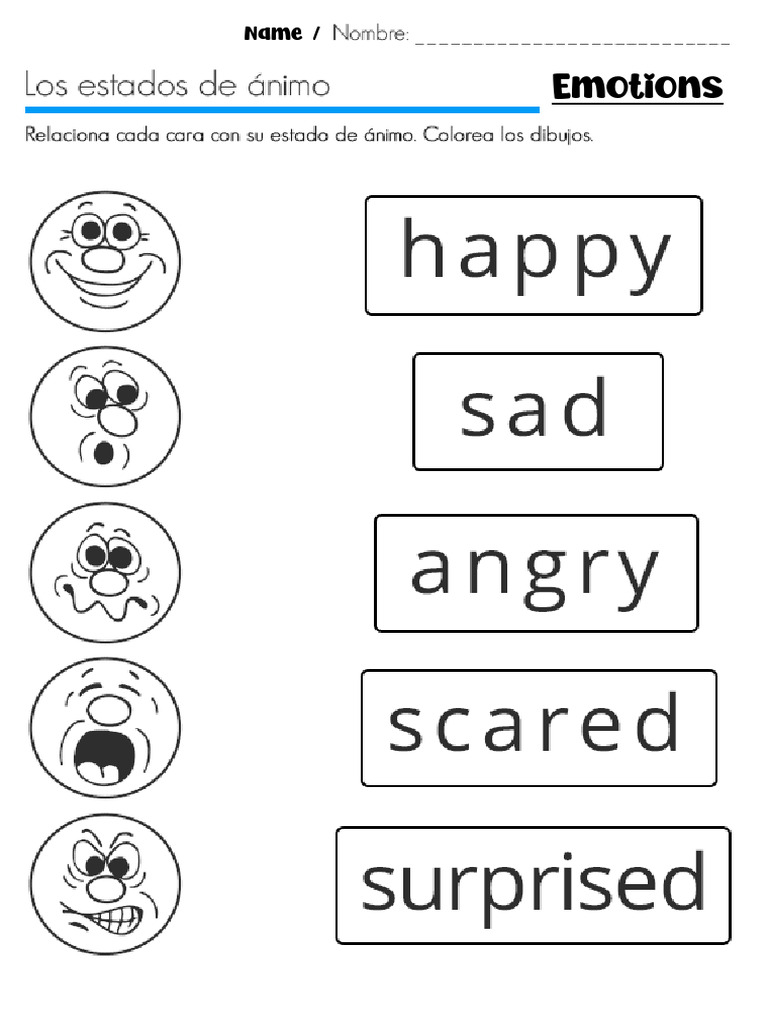 Understanding Emotions | PDF