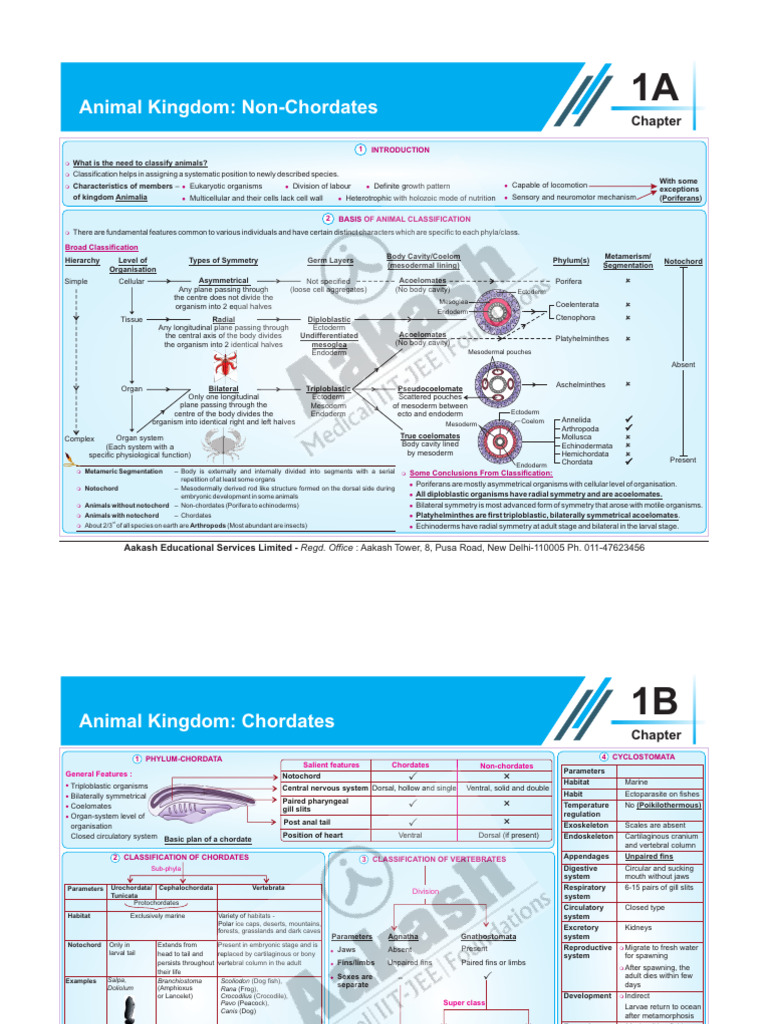 ZOOLOGY Aakash Mind Map - Removed - Removed | PDF | Epithelium ...