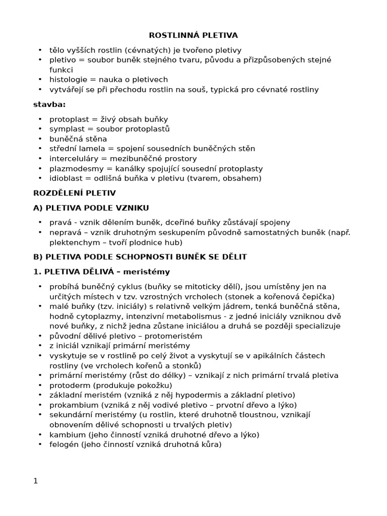 Stavba Rostliny - Zápis | PDF