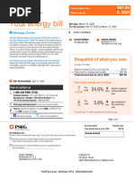 PSEG Sample Electric Bill | PDF | Cheque | Watt