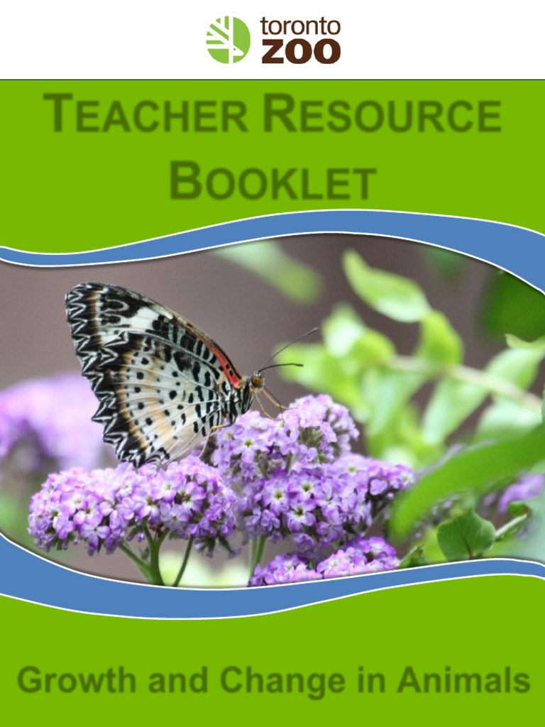 Grade 2 Animal Growth & Change Guide | PDF | Predation | Butterfly
