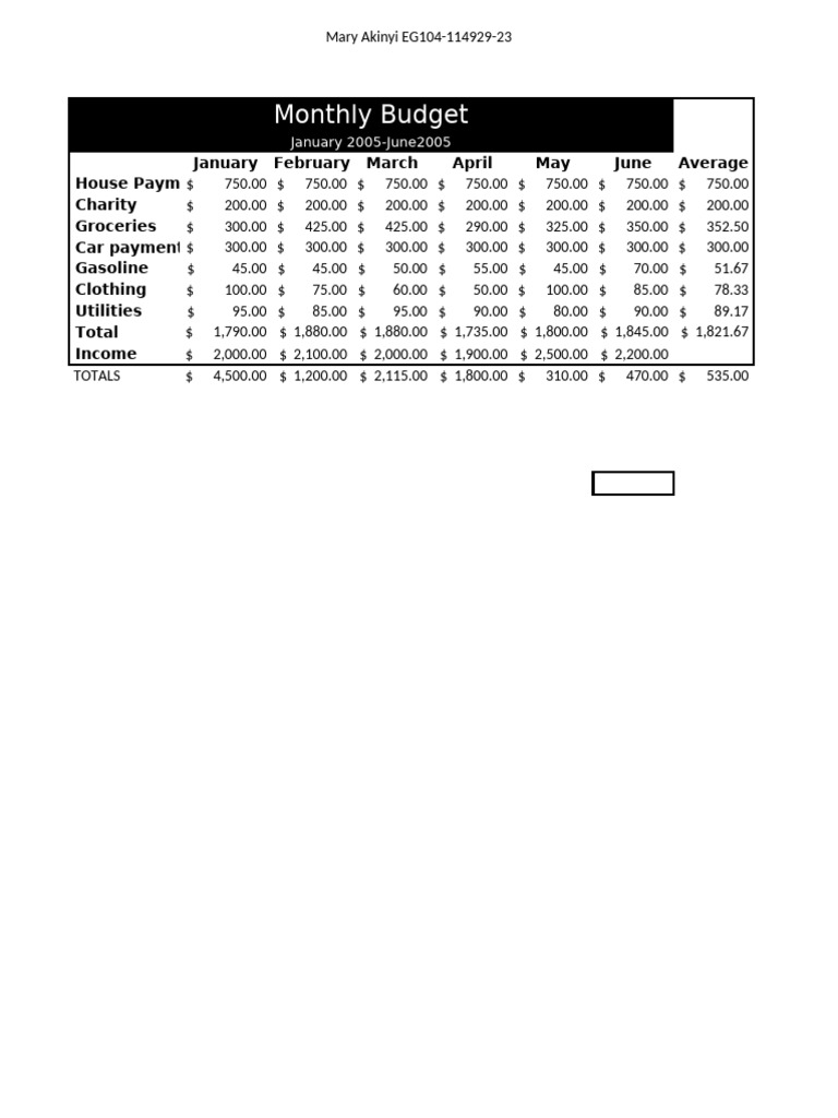 Mary Akinyi's Monthly Budget Summary | PDF | Economies