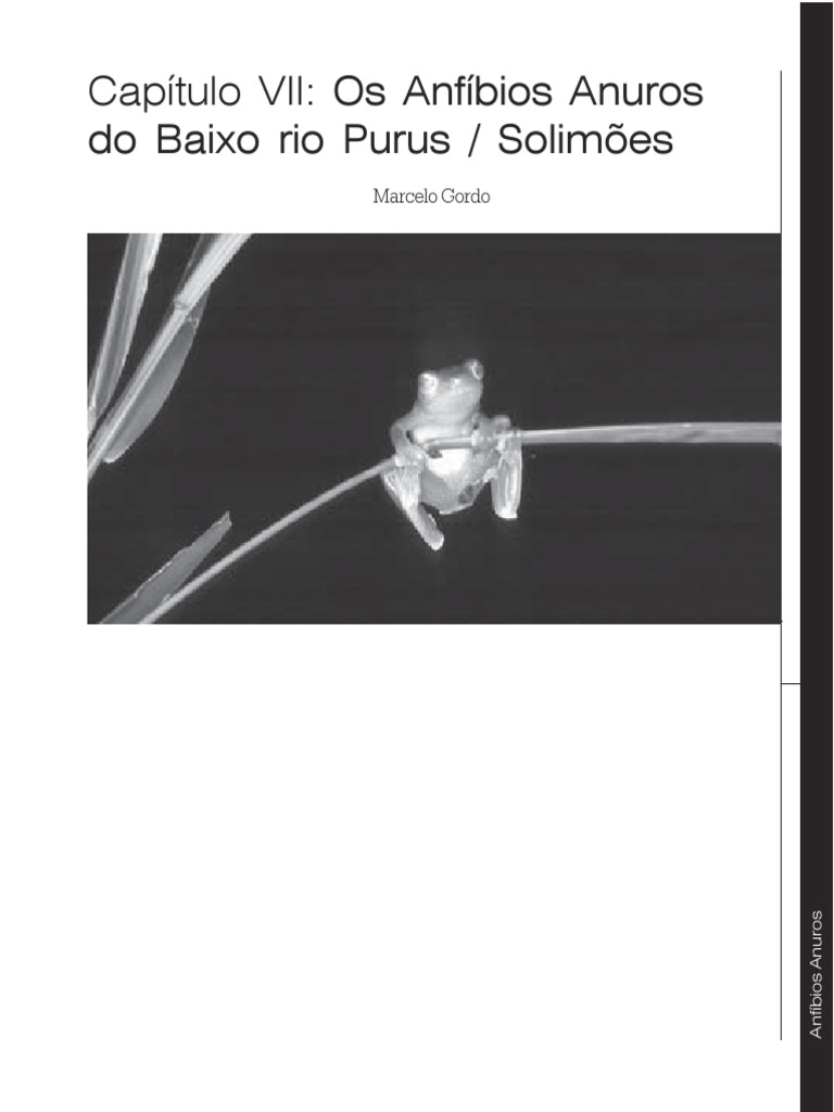Gordo - Os Anfibios Anuros Do Baixo Rio Purus Solimoes | PDF | Anfíbio ...