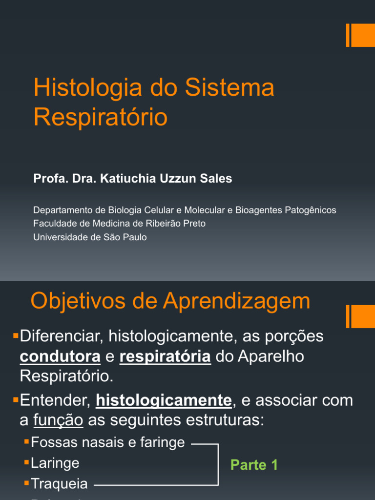 Pluginfile - Php8187574mod Resourcecontent1Histologia20Sist20Respiratório PDF | PDF | Sistema ...
