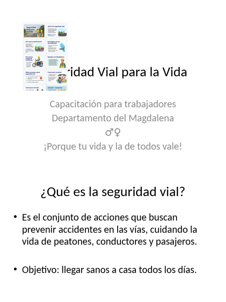 Seguridad Vial Magdalena Con Imagenes | PDF