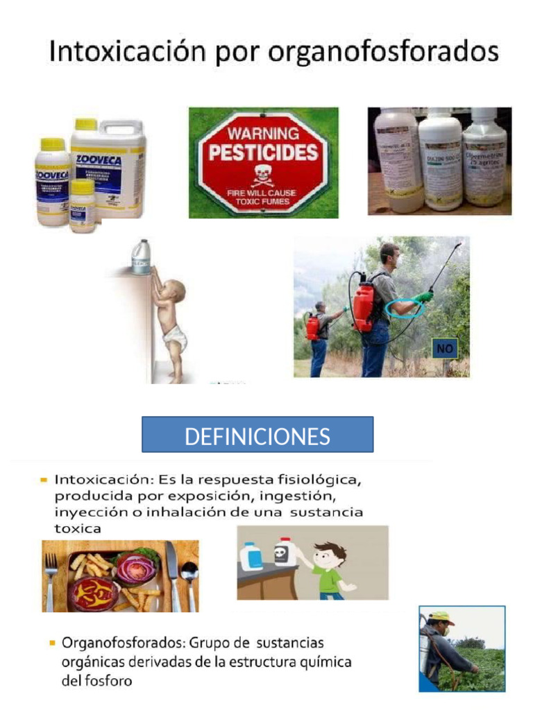 Intox. Por Organos Fosforados Shey L.A | PDF