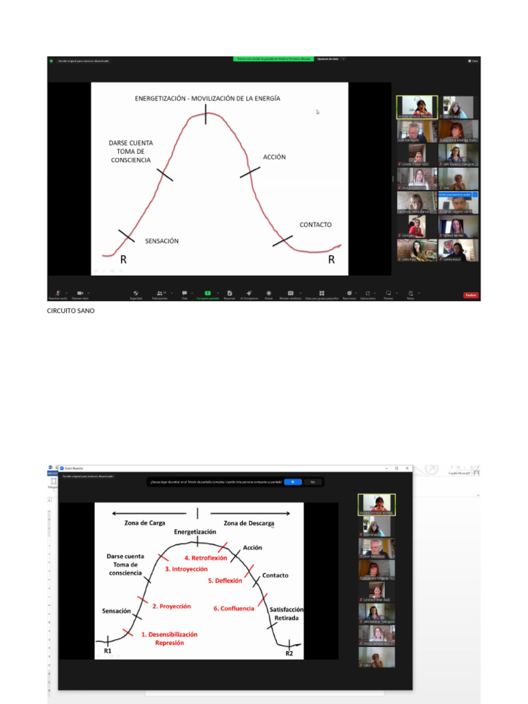 Ciclo de La Experiencia Sano y Enfermo | PDF