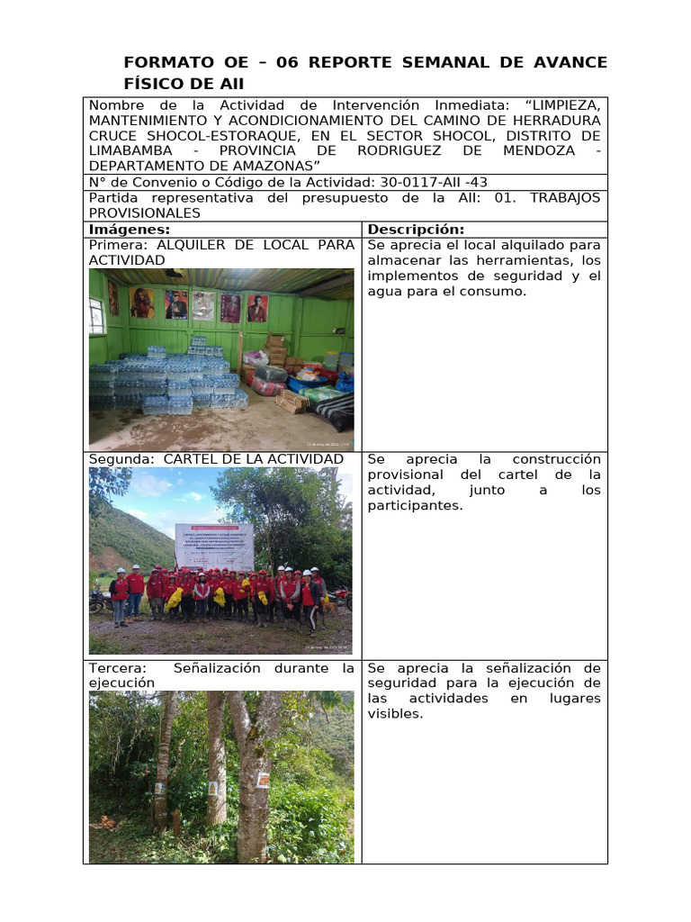 Formato OE-06 - SEM01 | PDF