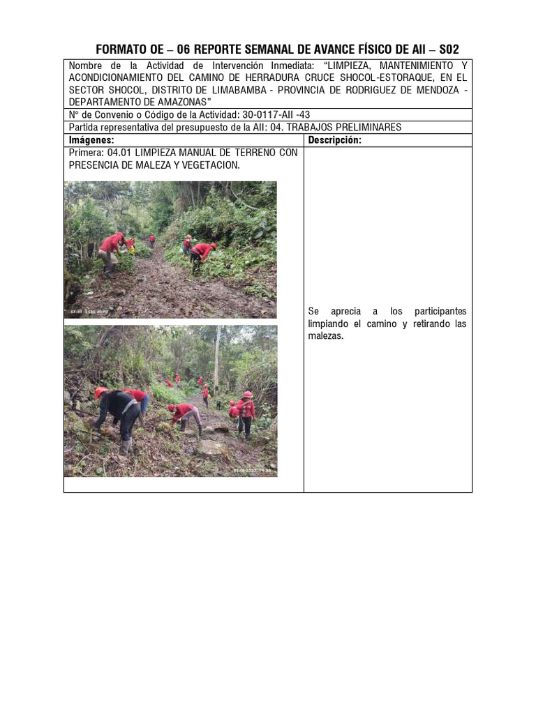 Formato OE-06 - SEM02 | PDF